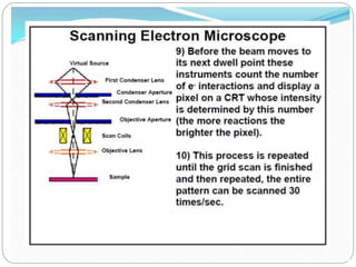 Sem Tem (nanotechnology) | PPT