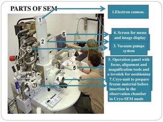 Sem Tem (nanotechnology) | PPT