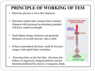 Sem Tem (nanotechnology) | PPT