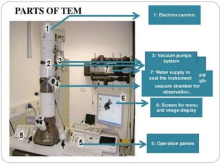 Sem Tem (nanotechnology) | PPT