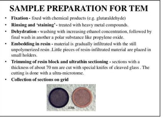 Sem Tem (nanotechnology) | PPT