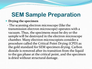 Sem Tem (nanotechnology) | PPT