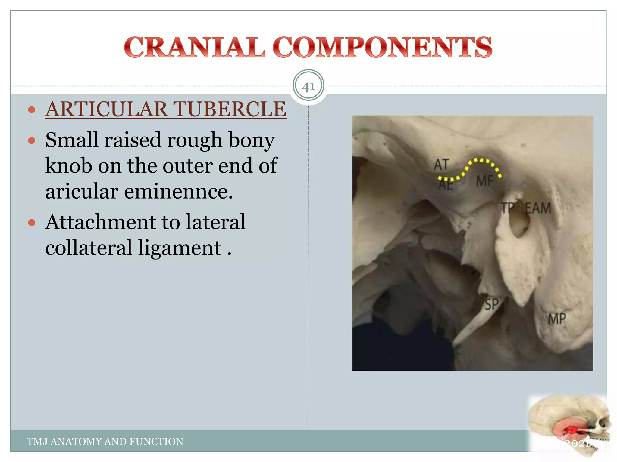Temporomandibular joint | PPTX