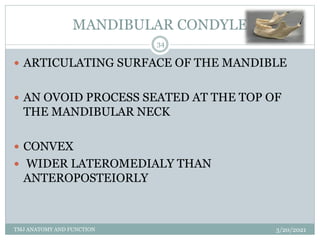 Temporomandibular joint | PPTX