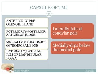 Temporomandibular joint | PPTX
