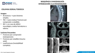 SEM 11 IMAGENOLOGÍA Columna Cervical, Dorsal, Lumbar.pptx