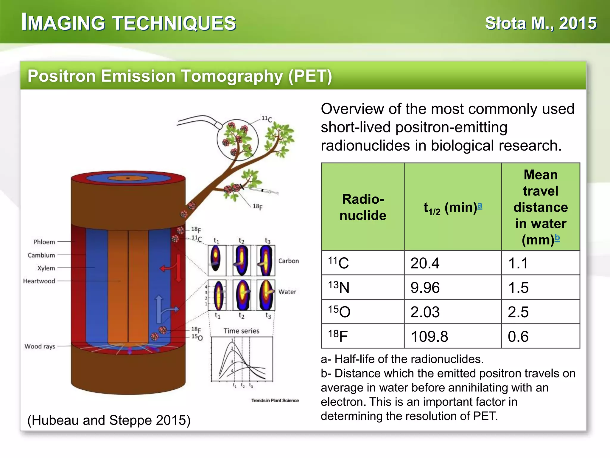 Phenotyping of plant root systems | PDF