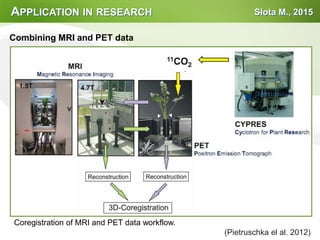 Phenotyping of plant root systems | PDF