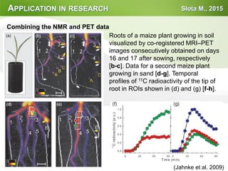 Phenotyping of plant root systems | PDF
