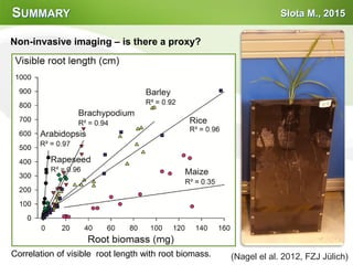 Phenotyping of plant root systems | PDF