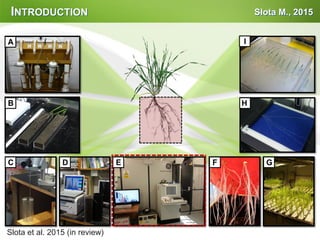 Phenotyping of plant root systems | PDF