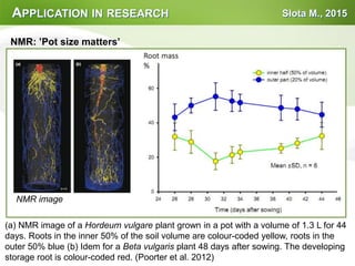 Phenotyping of plant root systems | PDF