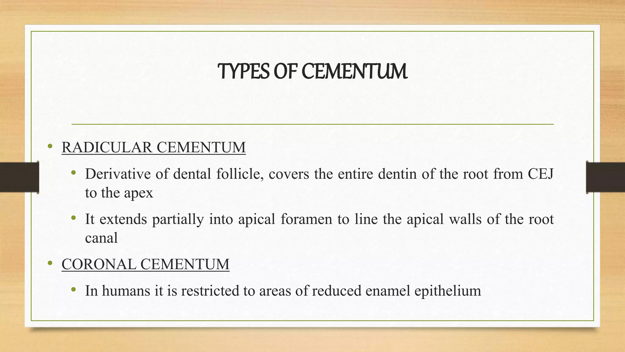 Cementum | PPTX