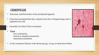Cementum | PPTX
