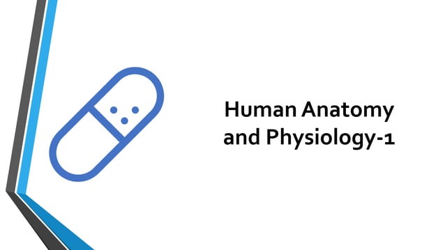 Important questions and pneumonics for Anatomy and Physiology(Checkout ...