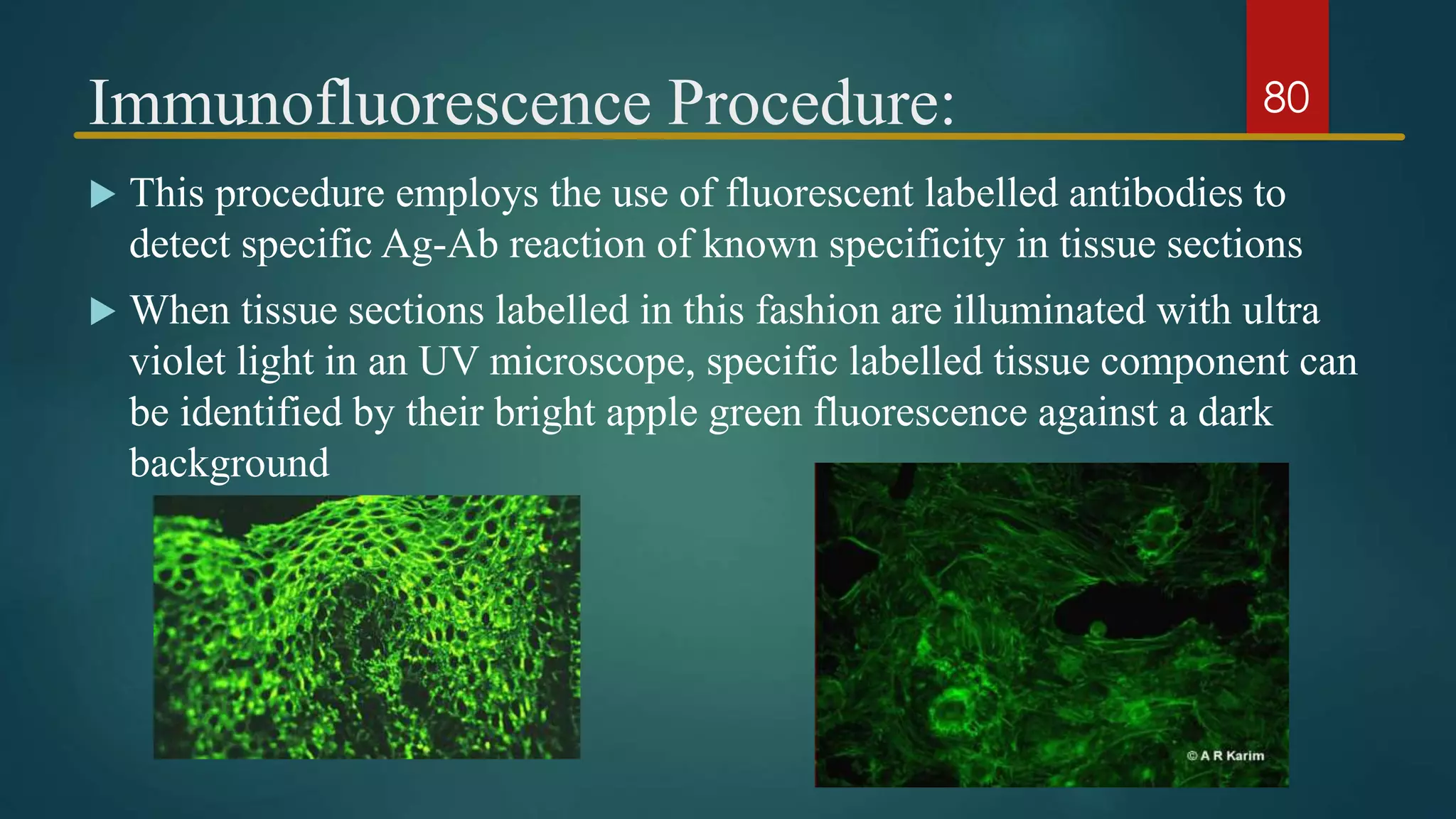 Laboratory Investigations | PPTX
