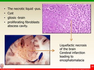 Necrosis and degeneration | PPTX