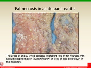 Necrosis and degeneration | PPTX