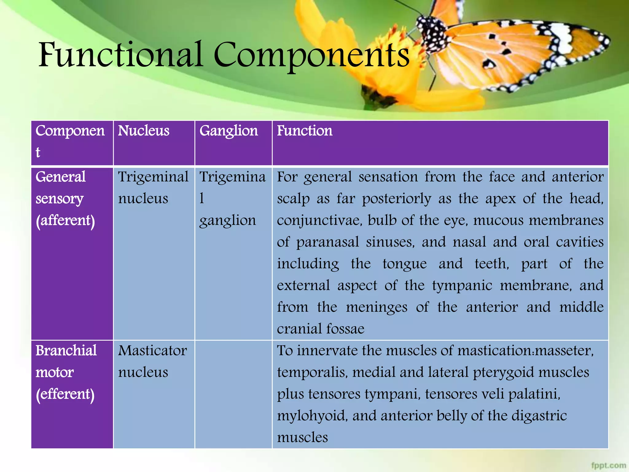 Anatomy of Trigeminal Nerve and Facial nerve | PPTX