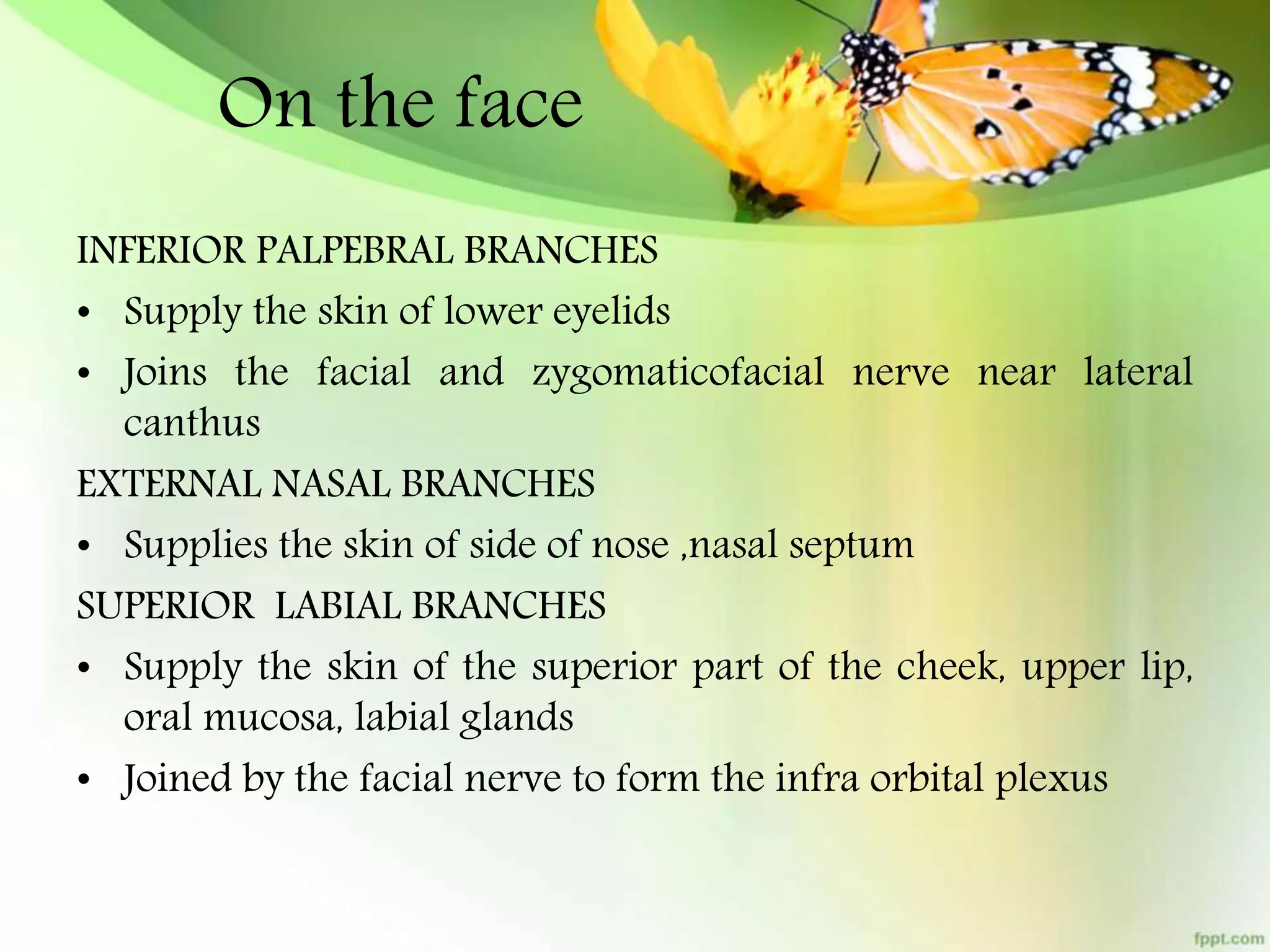 Anatomy of Trigeminal Nerve and Facial nerve | PPTX