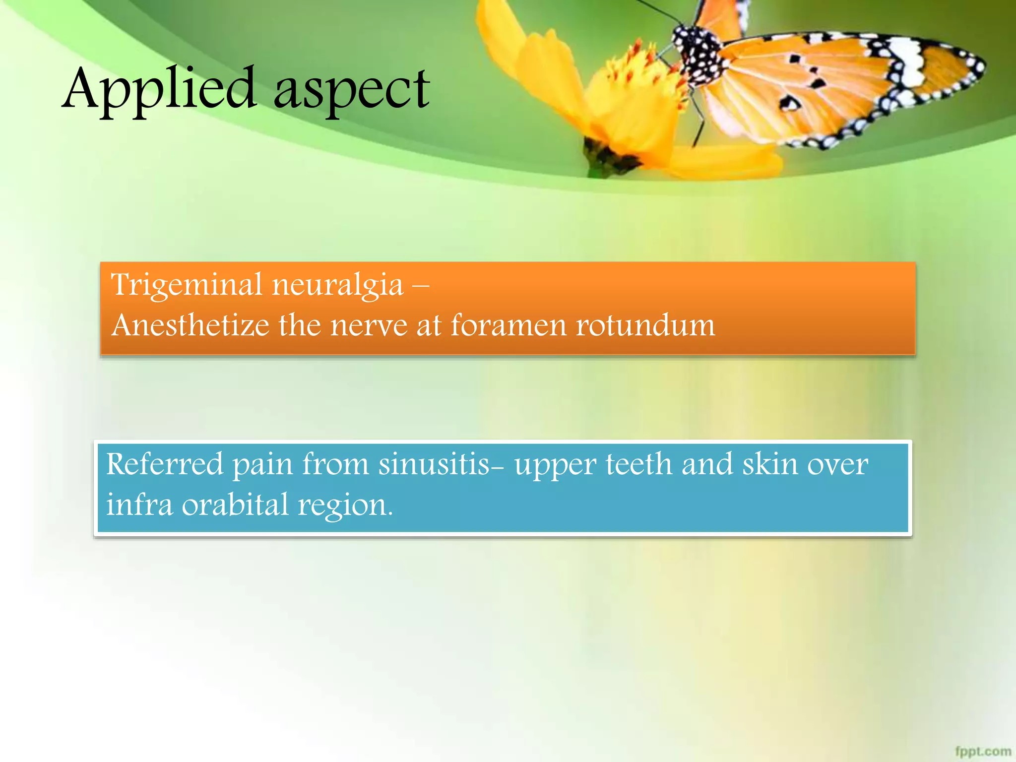 Anatomy of Trigeminal Nerve and Facial nerve | PPTX
