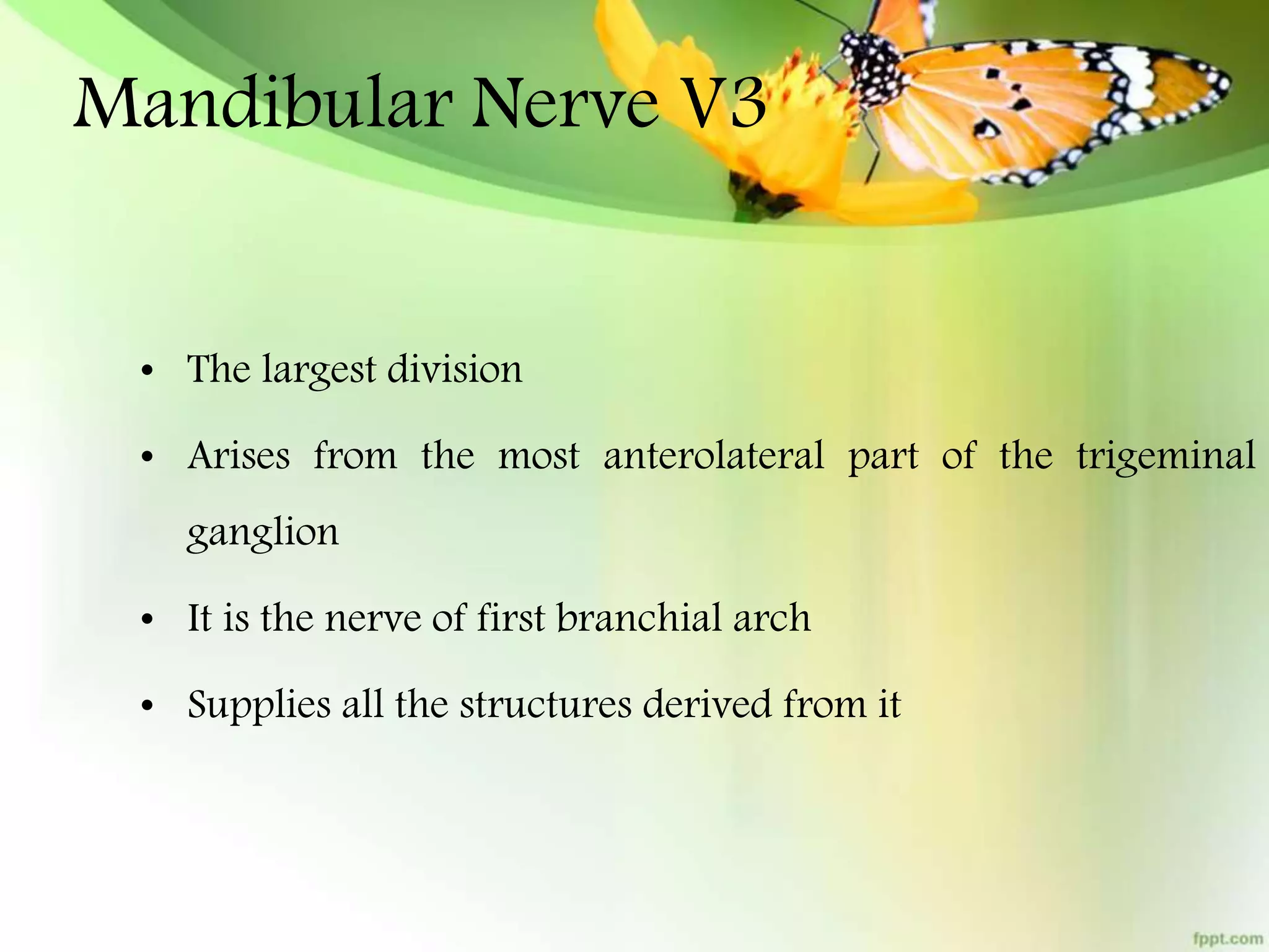 Anatomy of Trigeminal Nerve and Facial nerve | PPTX