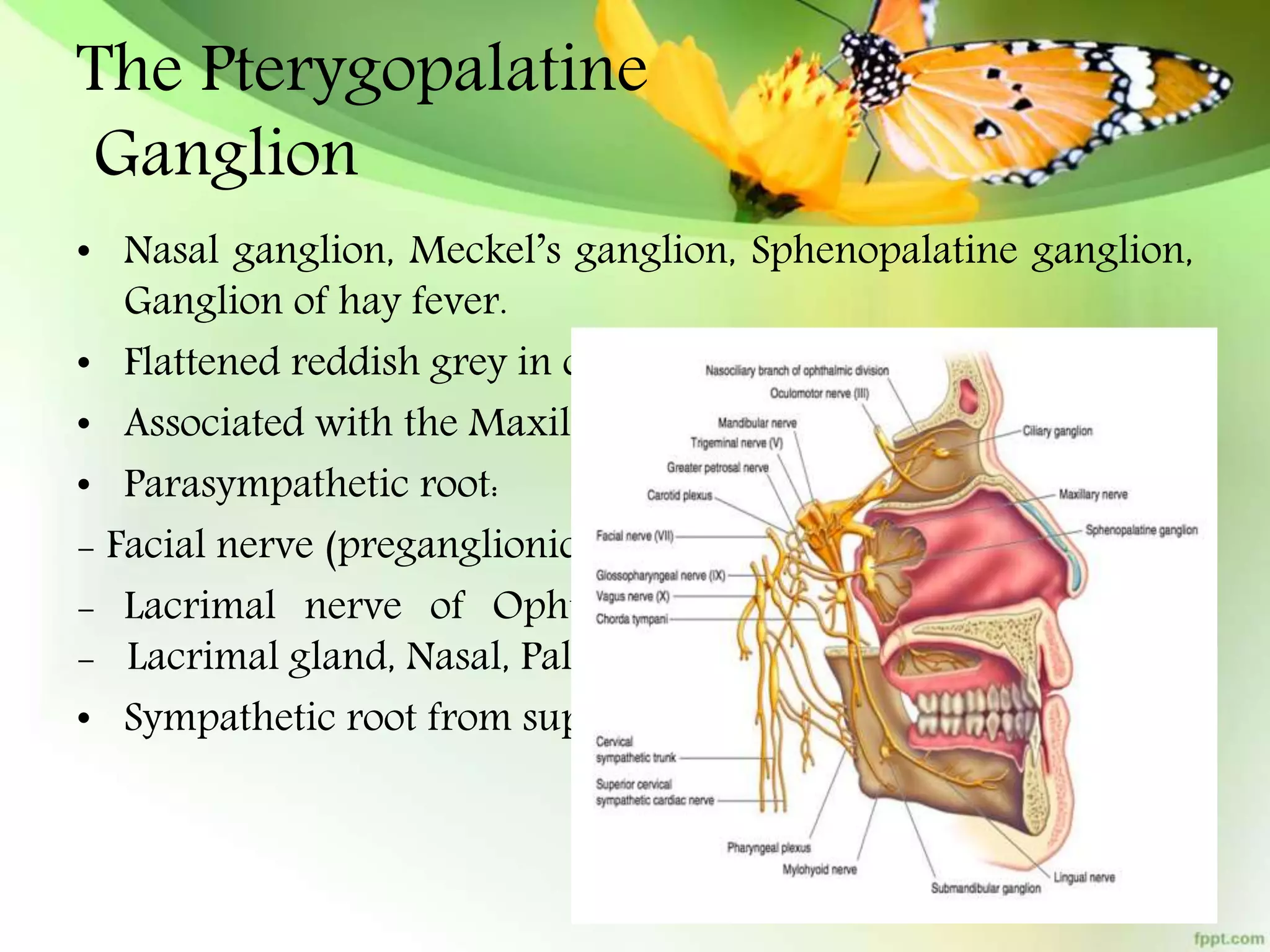 Anatomy of Trigeminal Nerve and Facial nerve | PPTX