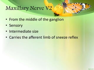 Anatomy of Trigeminal Nerve and Facial nerve | PPTX