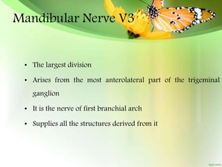 Anatomy of Trigeminal Nerve and Facial nerve | PPTX