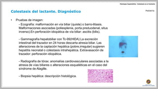 SEM 26_Patología hepatobiliar. Colestasis del lactante_JJA_24.pdf