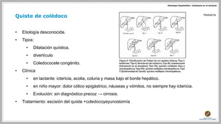 SEM 26_Patología hepatobiliar. Colestasis del lactante_JJA_24.pdf