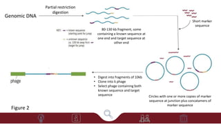 sem 2 cystic fibrosis.pptx