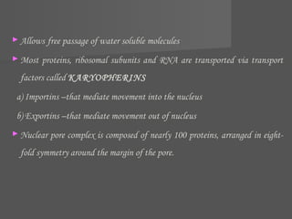 ultra structure of nucleus | PPT
