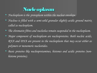 ultra structure of nucleus | PPT