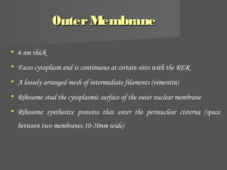 ultra structure of nucleus | PPT