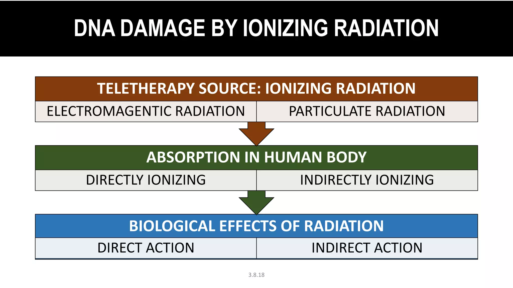 Radiation induced cell kill and damage | PDF