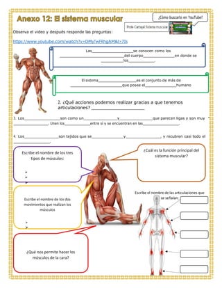 SEM 2 Y 3 CUADERNILLO DE ACTIVIDADES.pdf