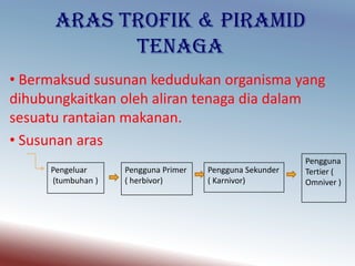 Sem 3- Rantain Makanan dan Siratan Makanan | PPTX