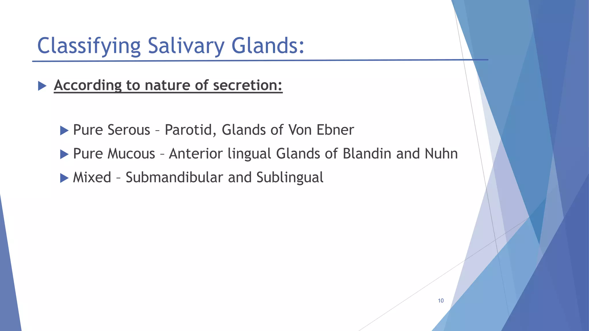 Salivary glands – anatomy and physiology | PPTX