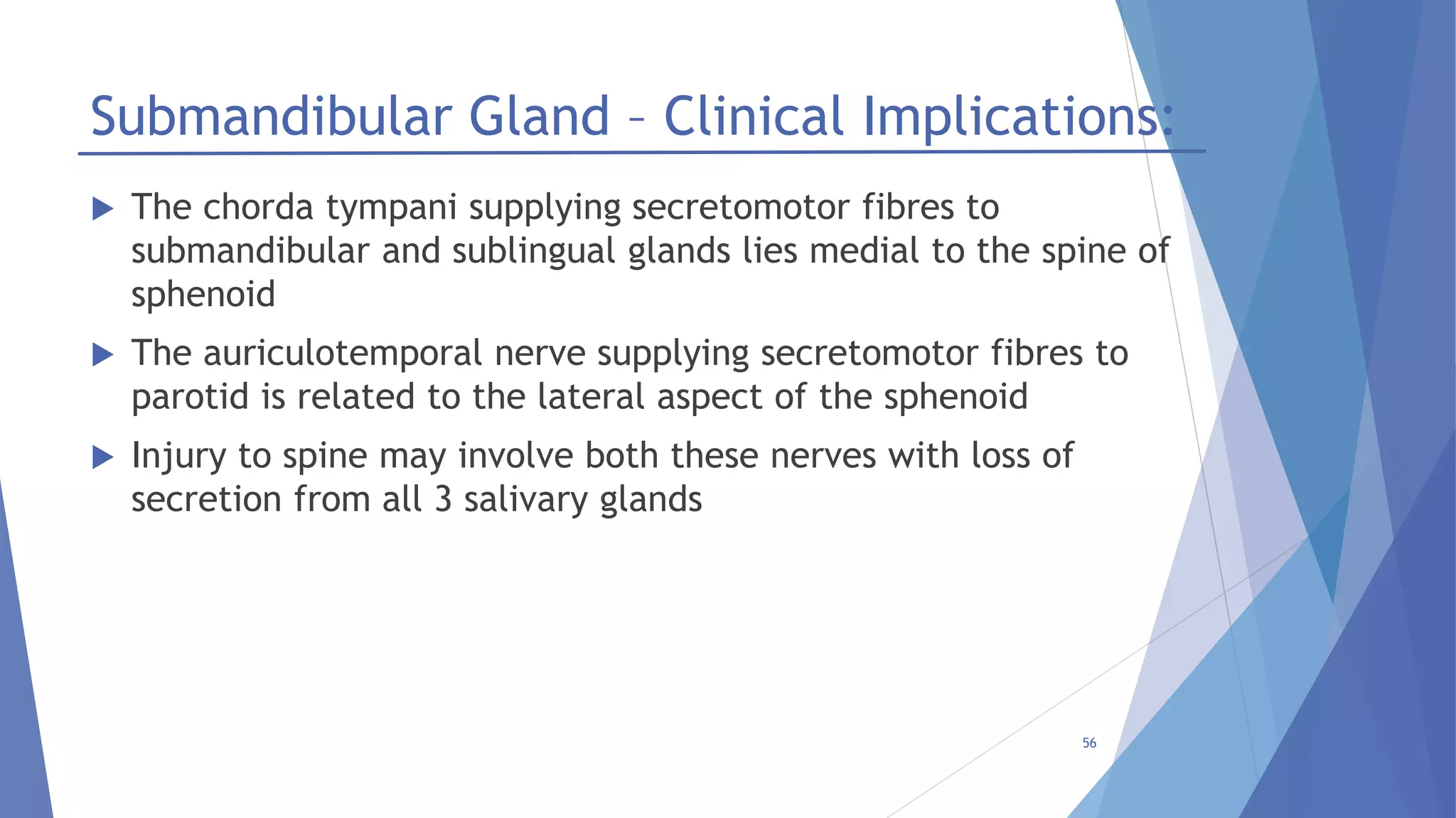 Salivary glands – anatomy and physiology | PPTX