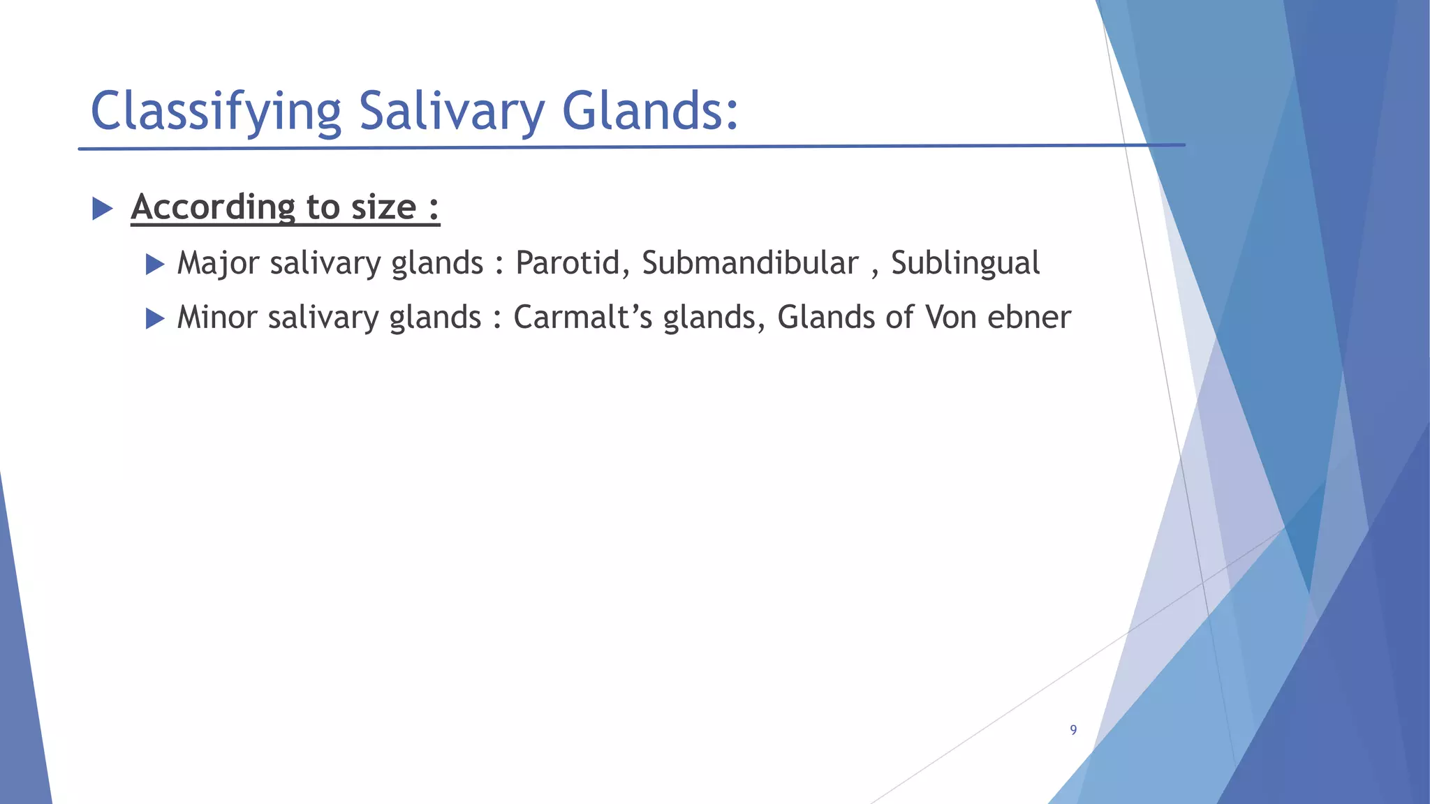 Salivary glands – anatomy and physiology | PPTX