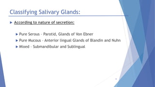 Salivary glands – anatomy and physiology | PPTX