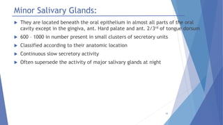 Salivary glands – anatomy and physiology | PPTX