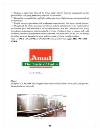 Final project on Amul Dairy | PDF