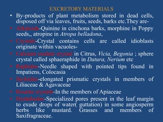Sem3(h) ergastic substances | PPT