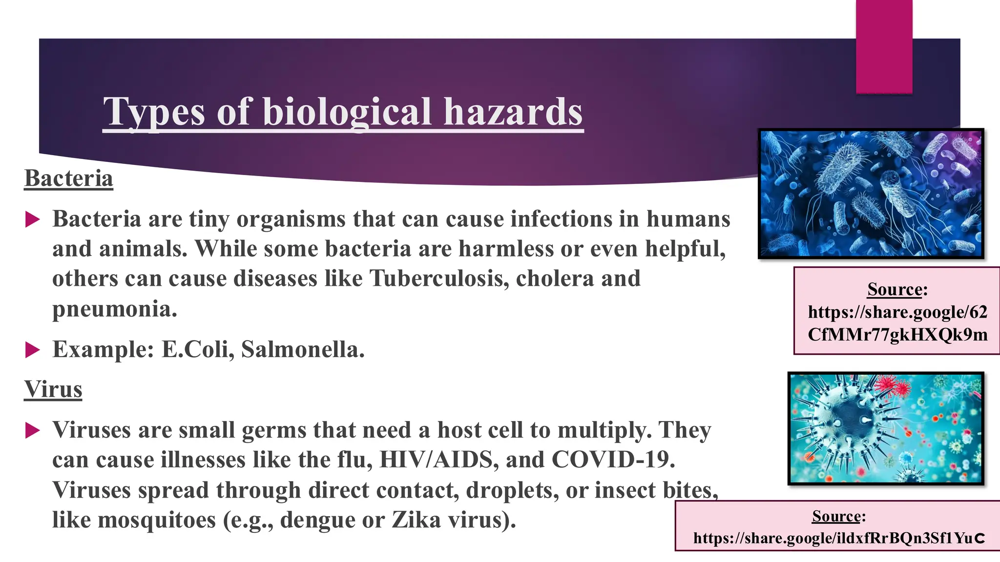 Occupational hazards - Biological ,mechanical and psychosocial | PDF