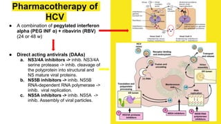 Clinical pharmacology flashcards | PPTX