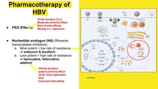 Clinical pharmacology flashcards | PPTX
