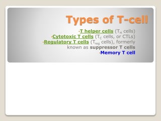 T-cell | PPTX