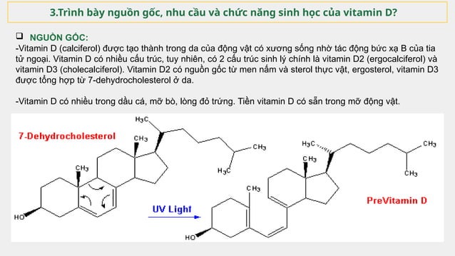 Slide Seminar: Vitamin tan trong dầu.pptx